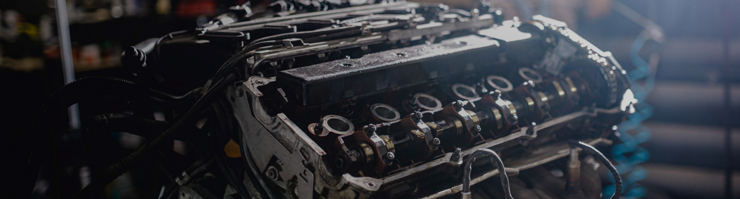 Cryogenic & Deep Freezing | Paulo